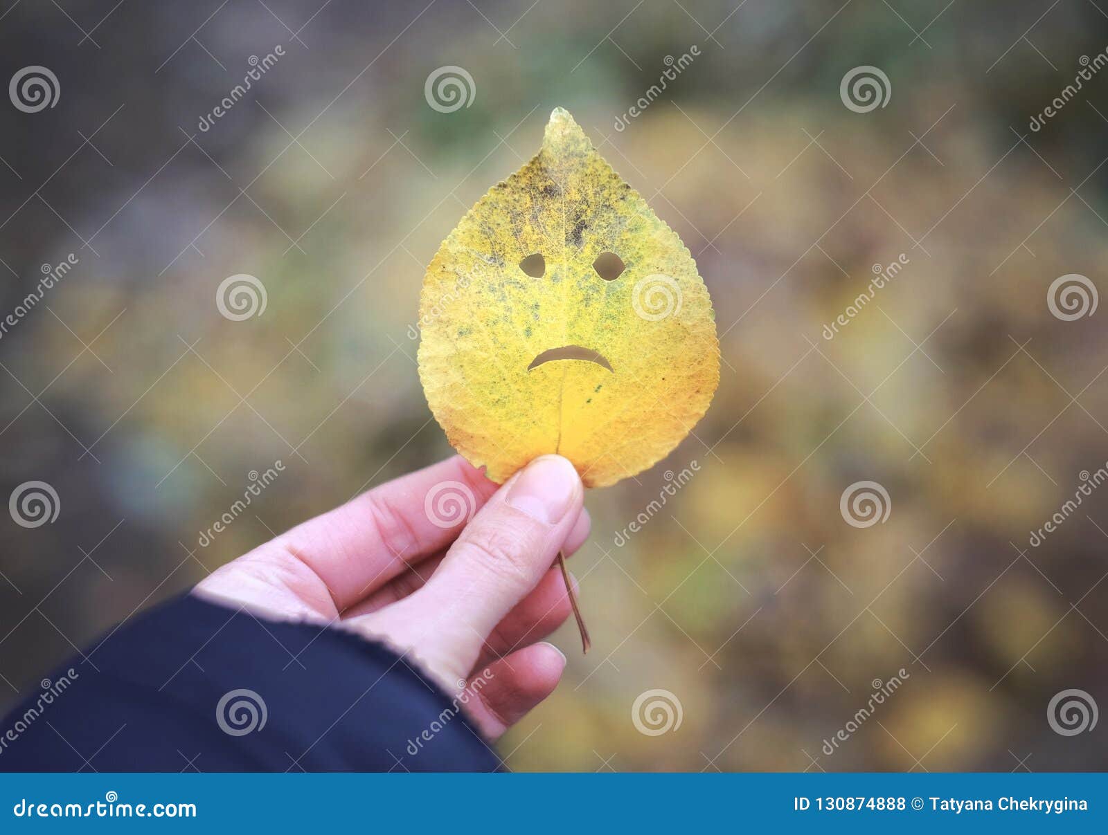 Autumn Leaf Sad Face in a Hand Stock Photo - Image of leaf, light ...