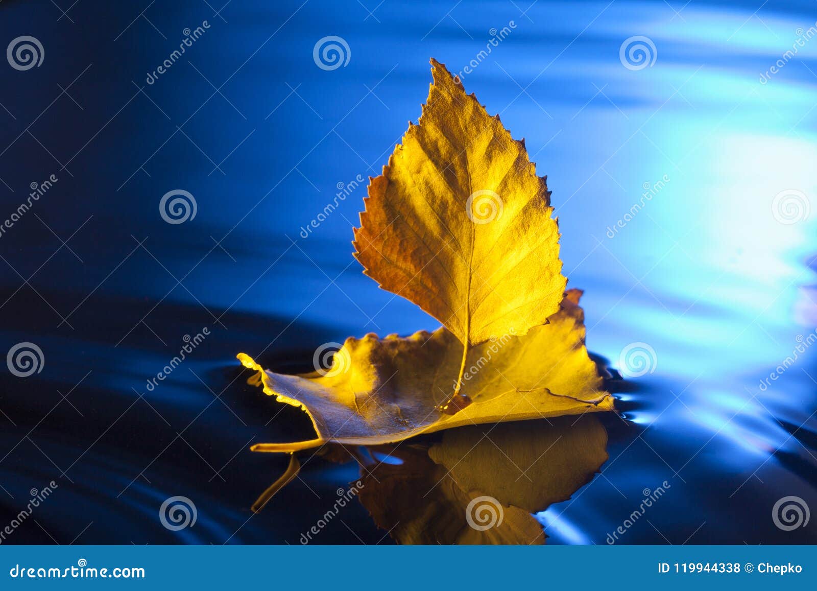 Autumn Leaf Ship in Blue Water Stock Photo - Image of leaf, object ...