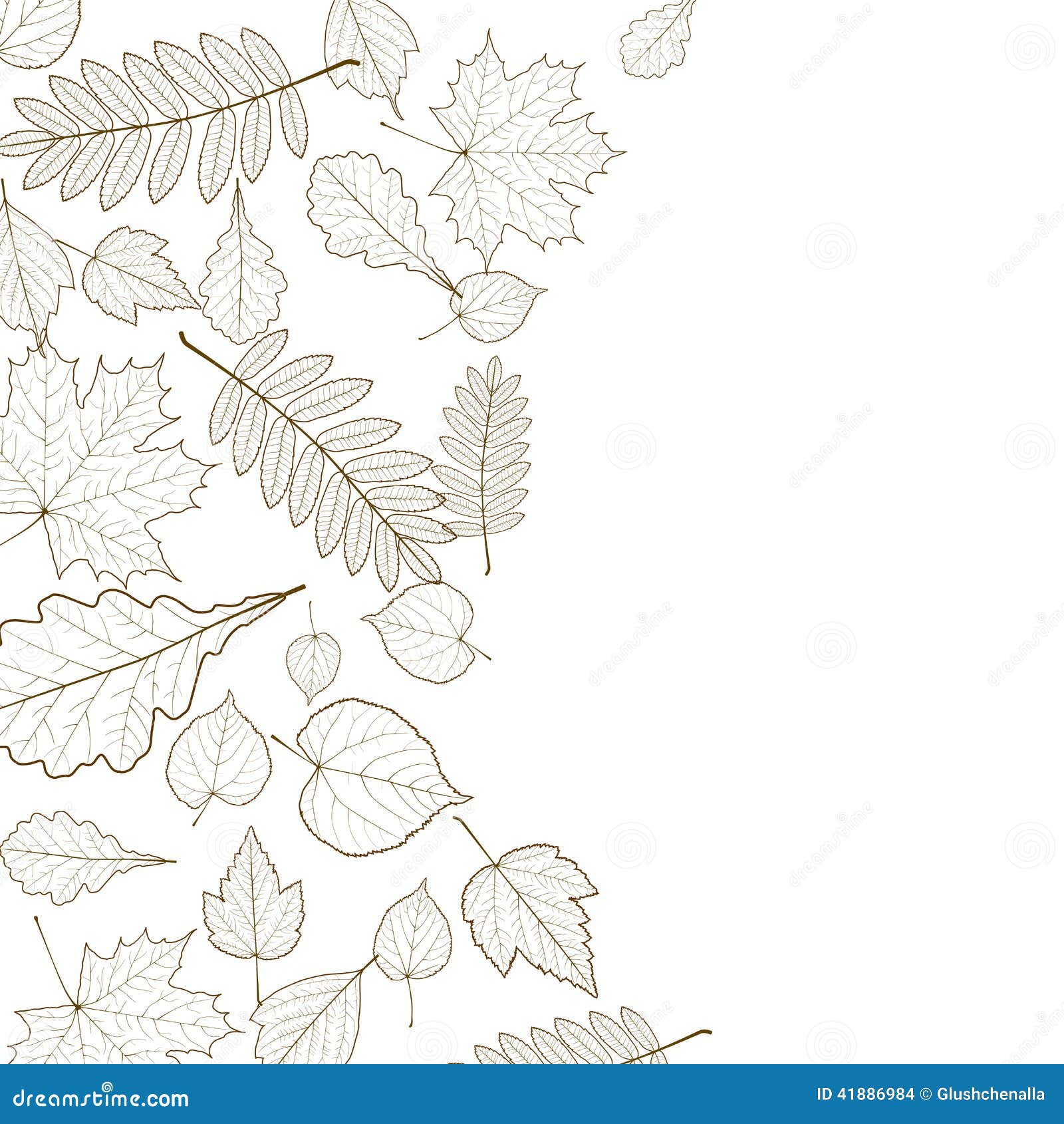 Autumn Leaf Skeletons Template. Stock Vector - Illustration of floral ...