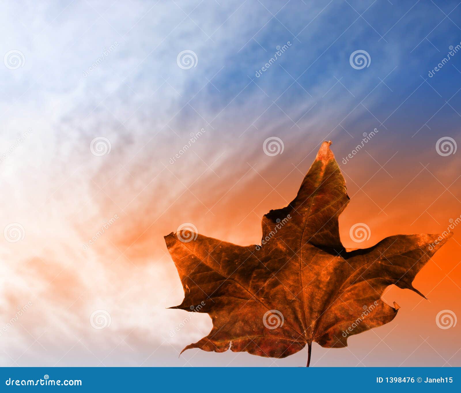 Autumn leaf in sky stock photo. Image of fall, colorful - 1398476