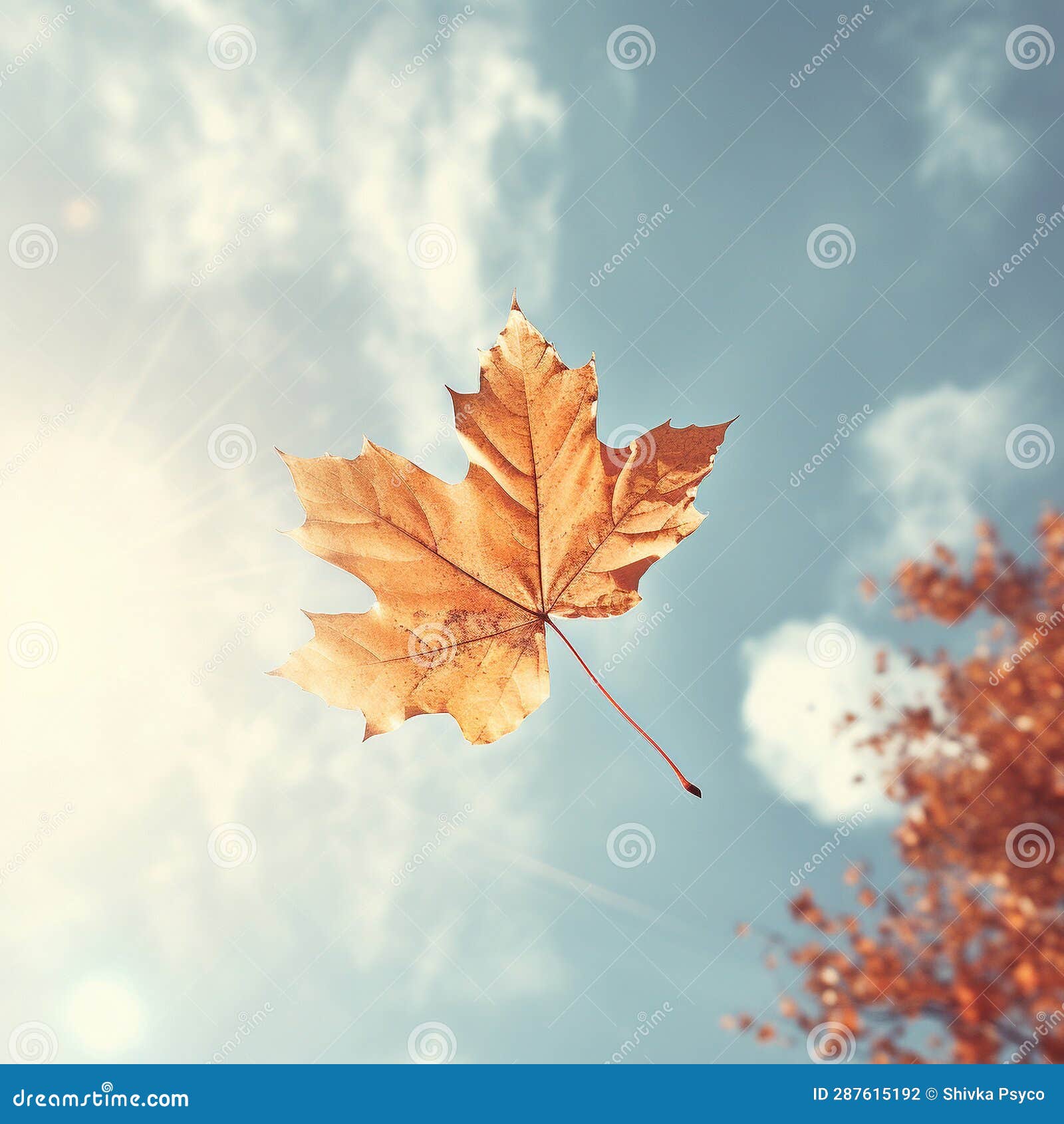 An Autumn Leaf on Sky Background Generative AI Stock Illustration ...