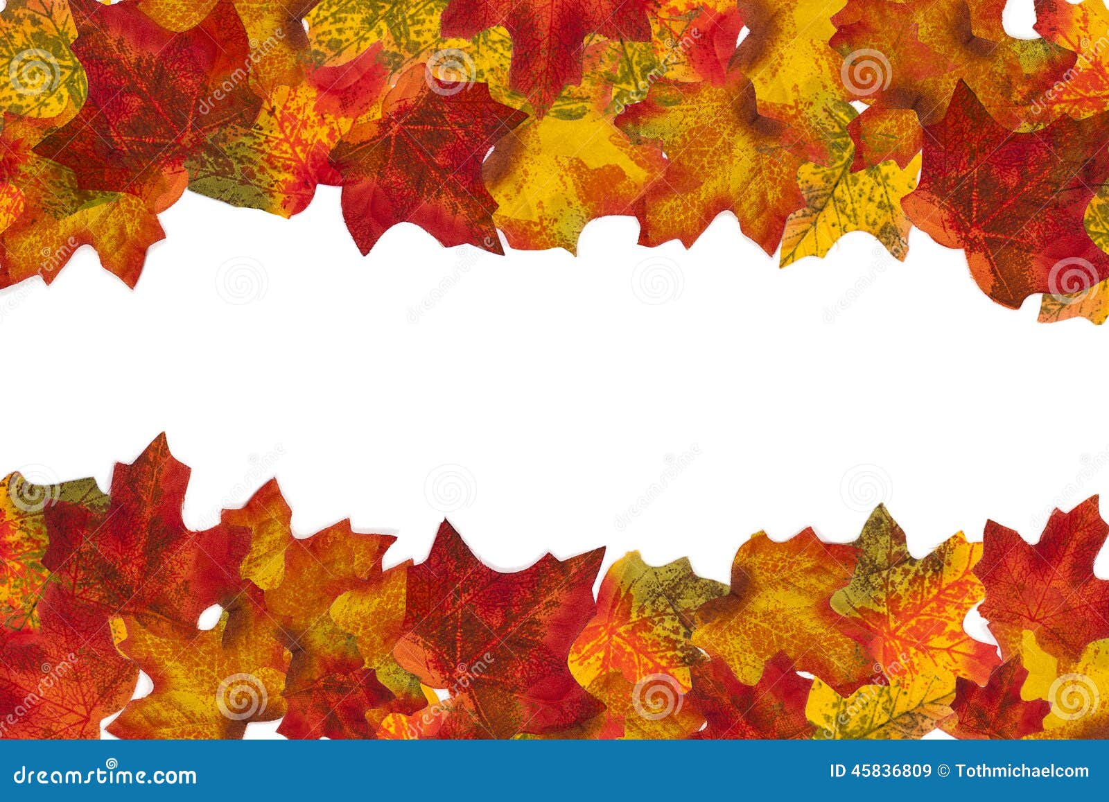 Autumn Leaf Stripe 1 Background Stock Image - Image of leaf, color ...