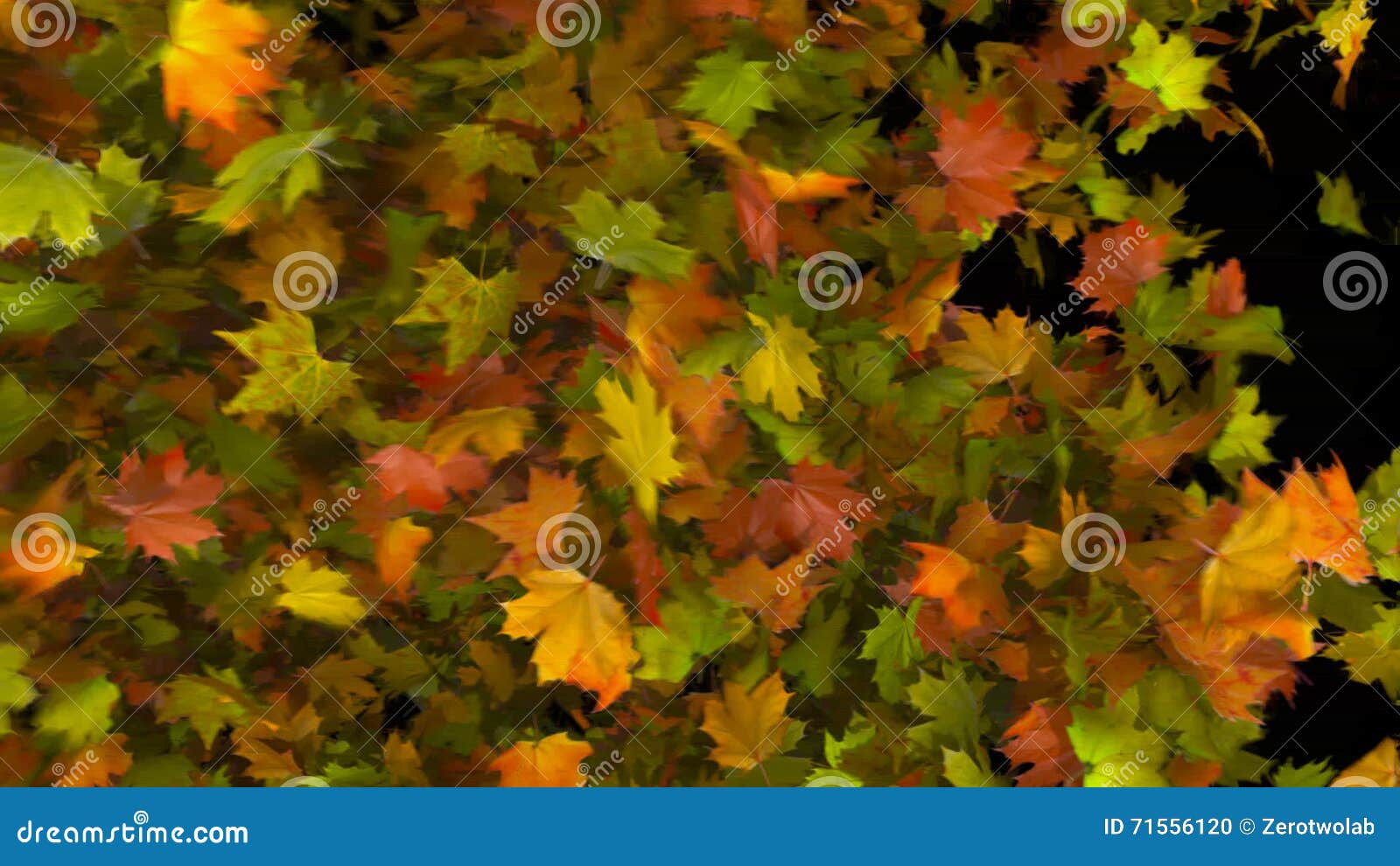 Leaf Effect Stock Footage & Videos - 5,255 Stock Videos
