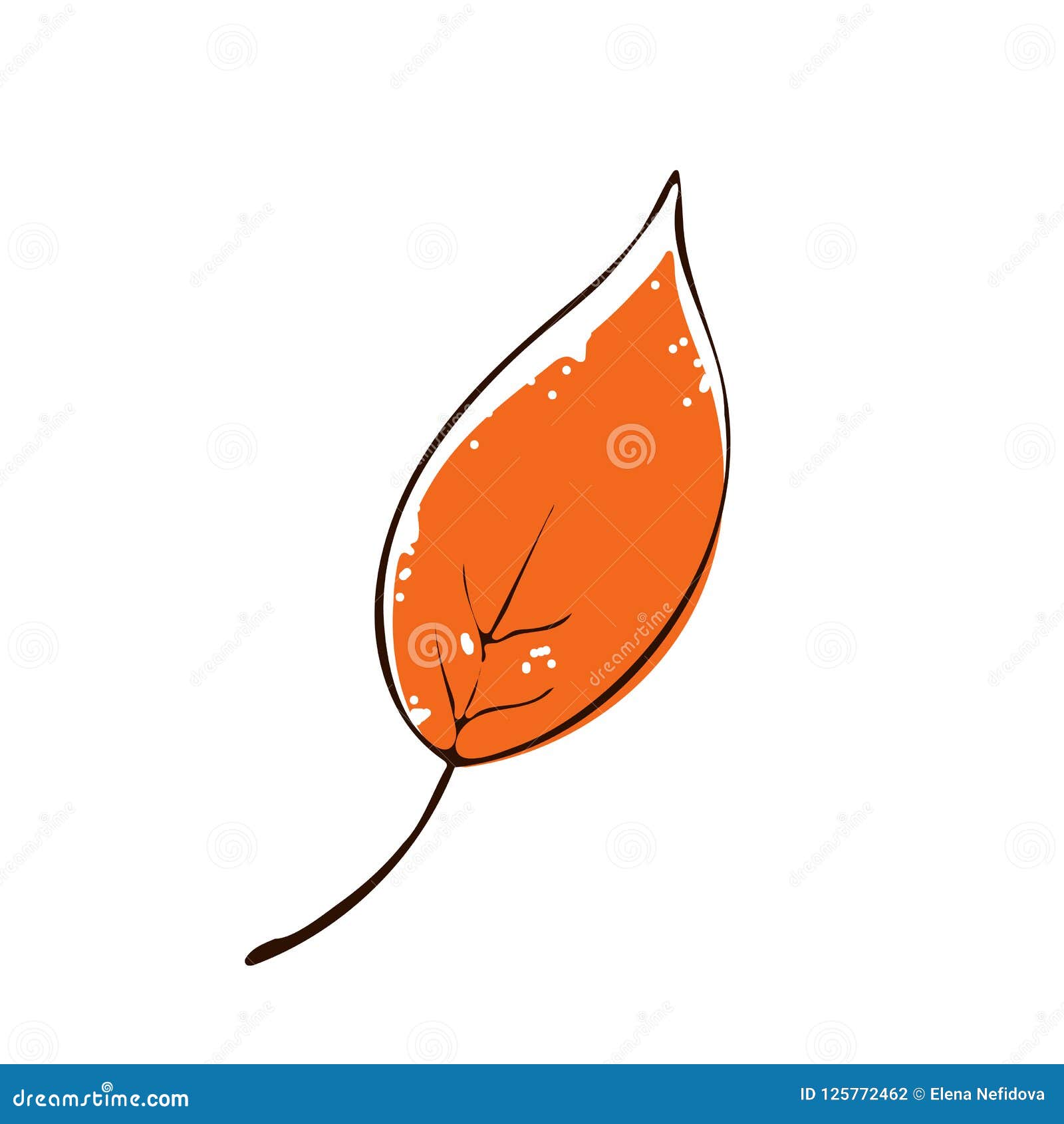 Autumn Leaf Vector Illustration on White Background Stock Vector ...