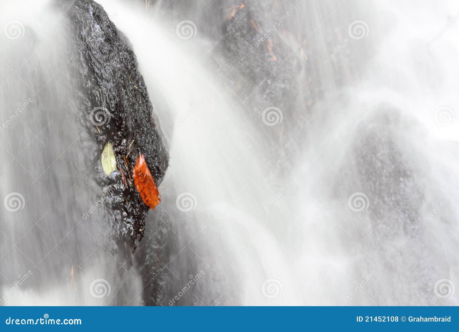 Autumn leaf in waterfall stock photo. Image of waterfall - 21452108