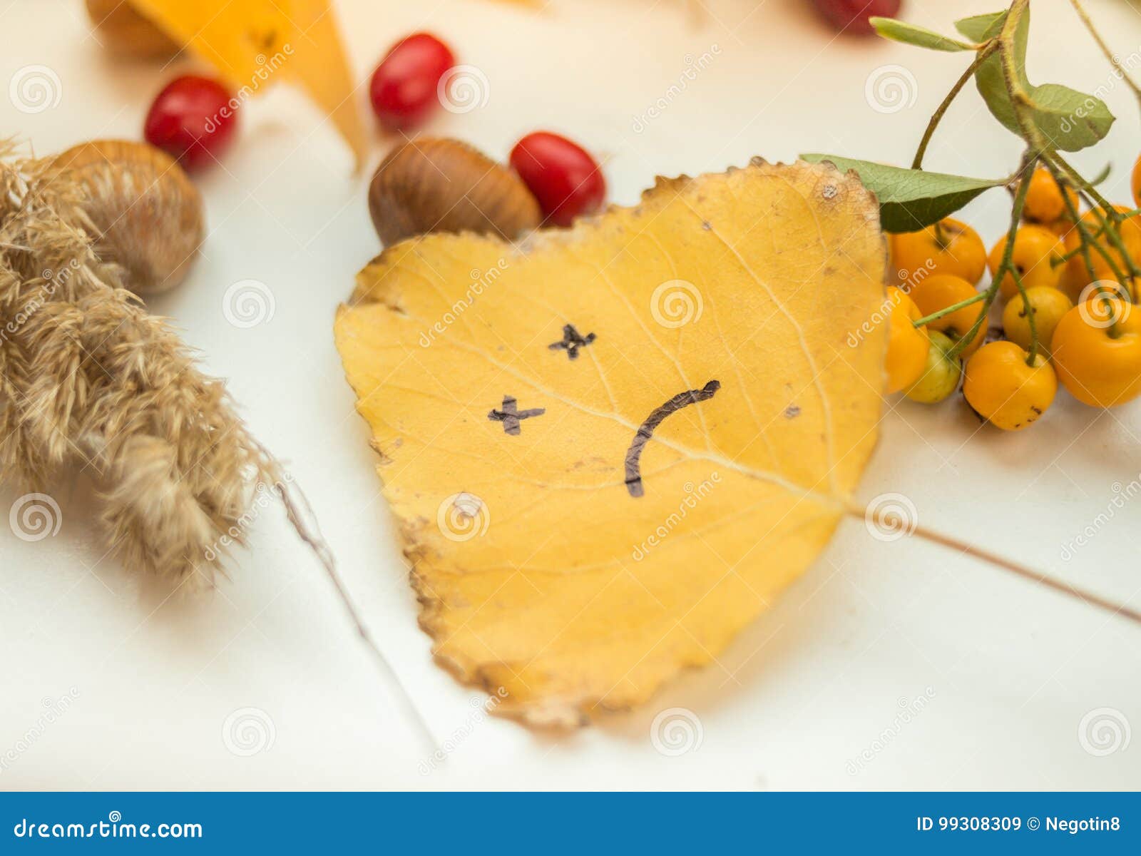 Autumn emotions stock image. Image of background, abstract - 99308309