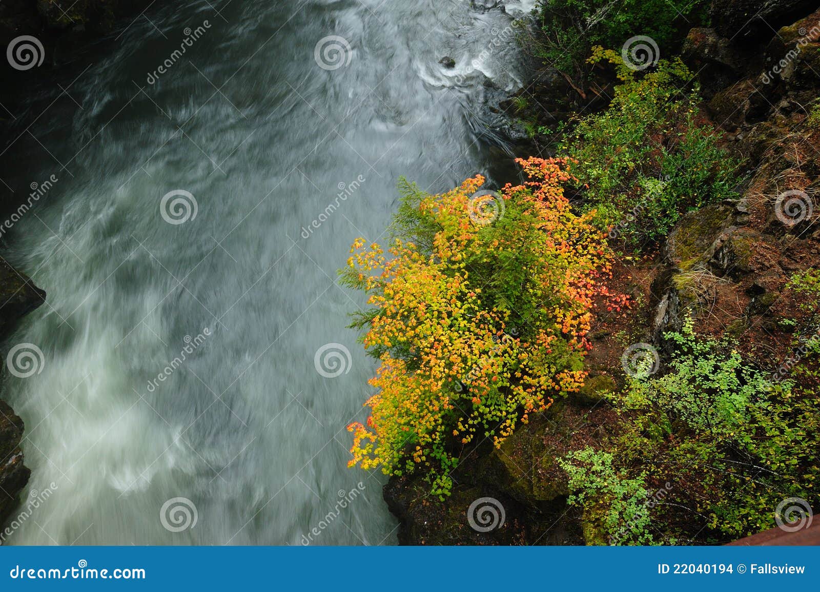 Autumn leaves above river stock photo. Image of rock - 22040194