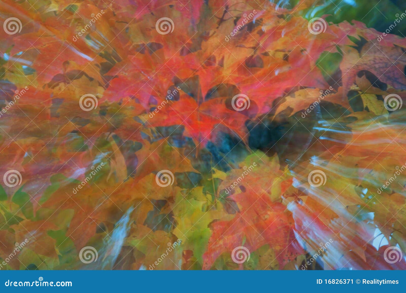 Autumn Leaves in Abstract stock image. Image of leafy - 16826371