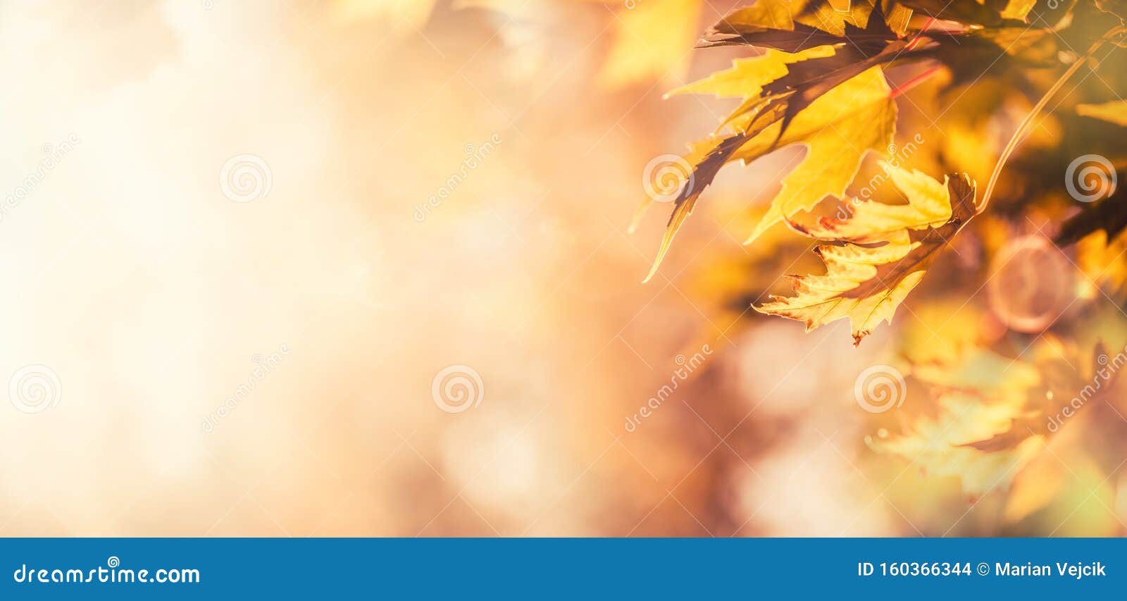 Autumn Leaves Abstract Panoramic Banner Soft Focus Background Stock ...