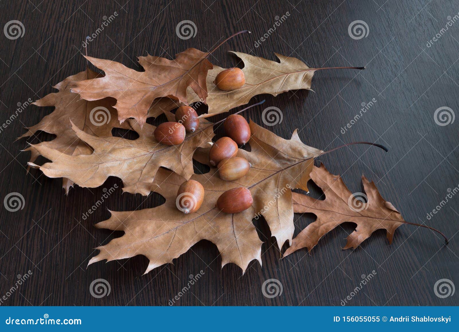 Autumn Leaves and Acorns on a Wooden Table, Closeup. Stock Image ...
