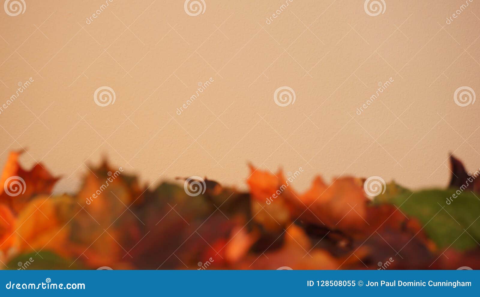 Autumn Leaves Against a Light Orange Background Stock Image - Image of ...