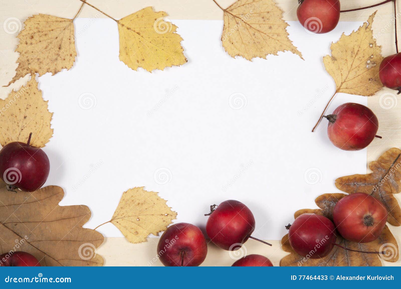 Autumn Leaves and Apples Frame Border Background. Top View. Stock Image ...