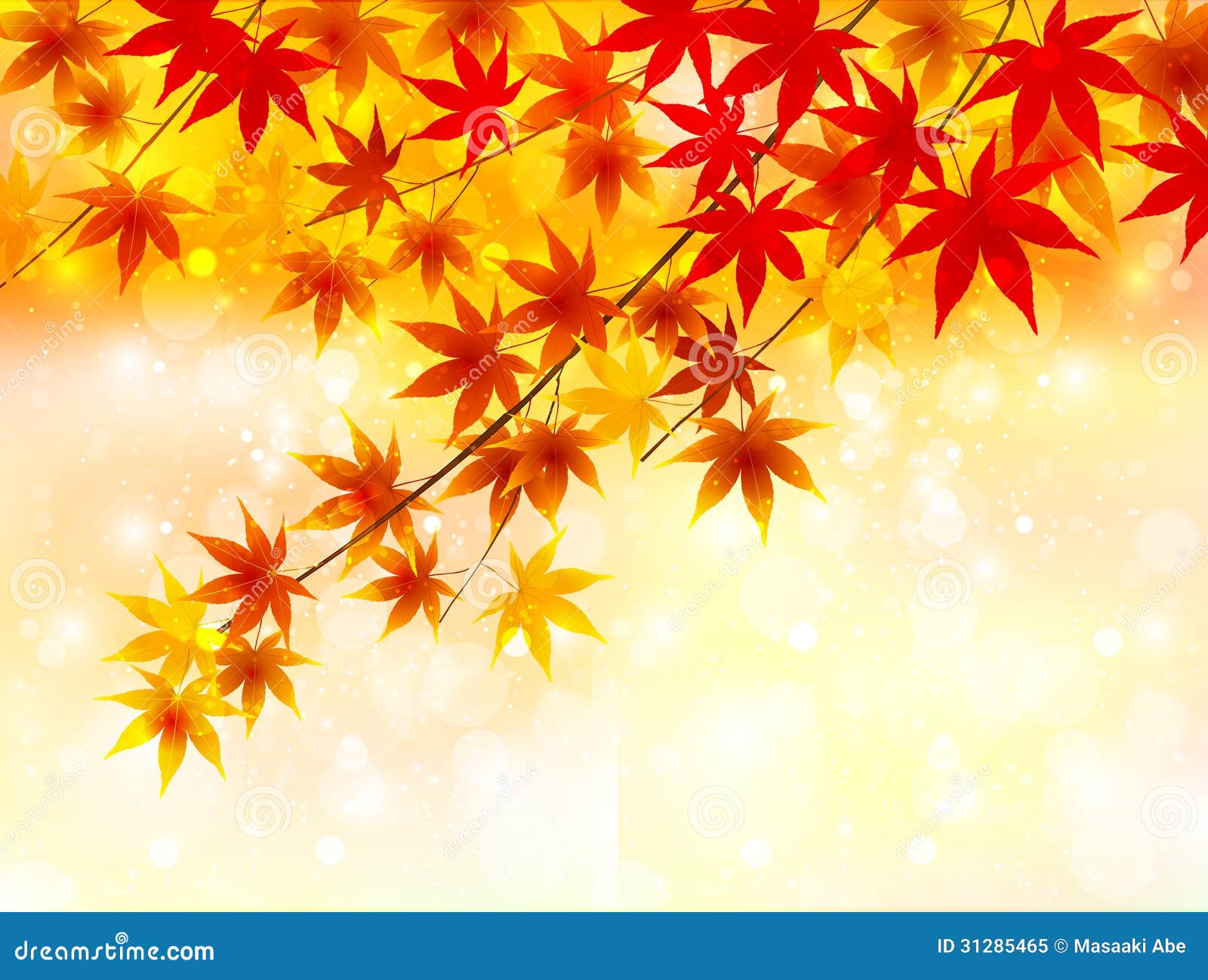 Autumn leaves stock vector. Illustration of background - 31285465