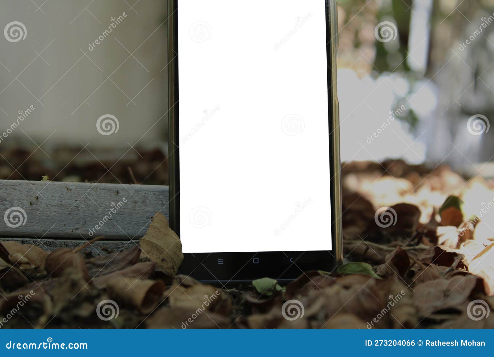 Autumn Leaves Background with Mobile Phone Stock Photo - Image of ...