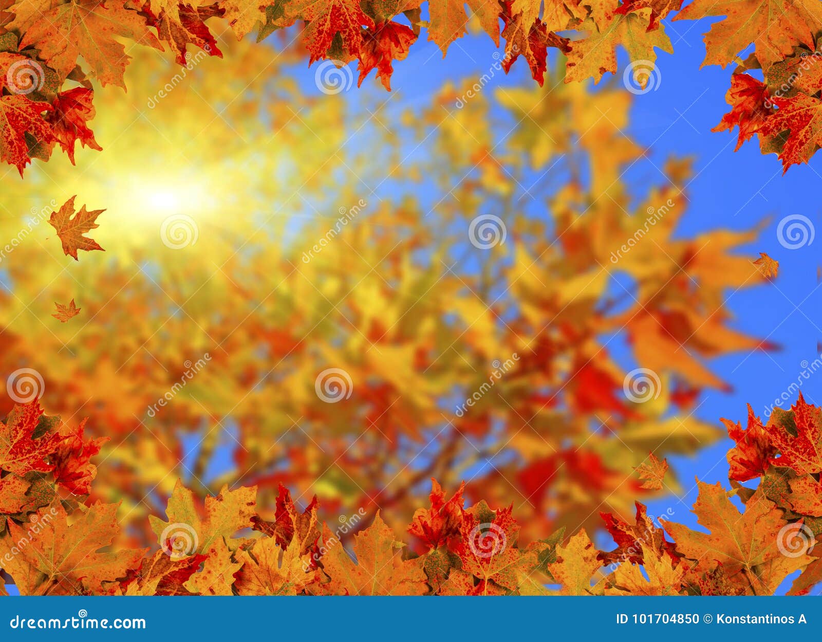 Autumn Leaves Background Sun Beams Space Your Text Stock Photo - Image ...