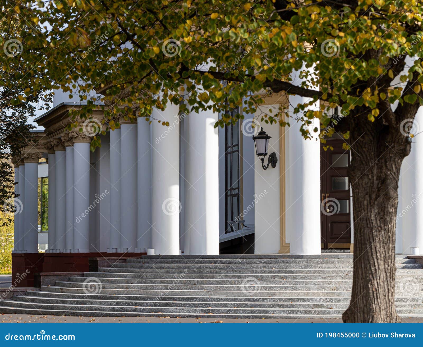 Autumn Leaves on a Background of White Columns Stock Photo - Image of ...