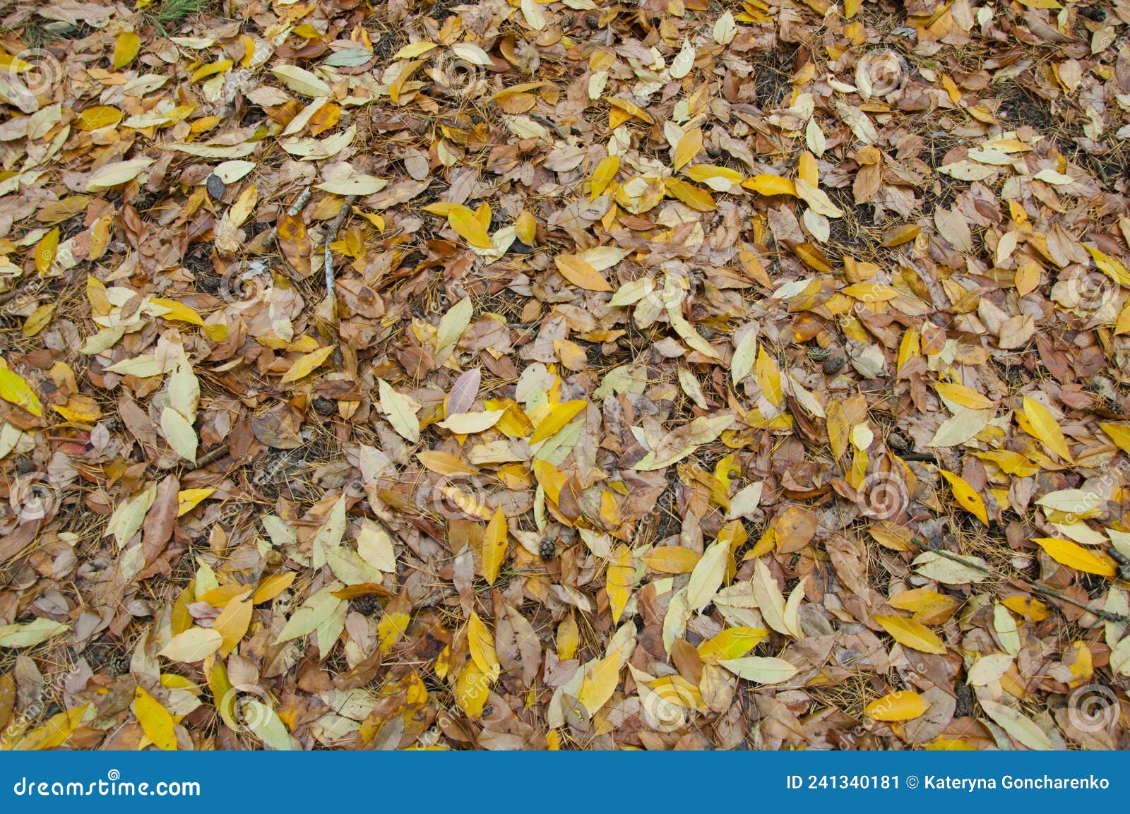 Autumn Leaves Background. Yellow Fall Leaves Stock Image - Image of ...