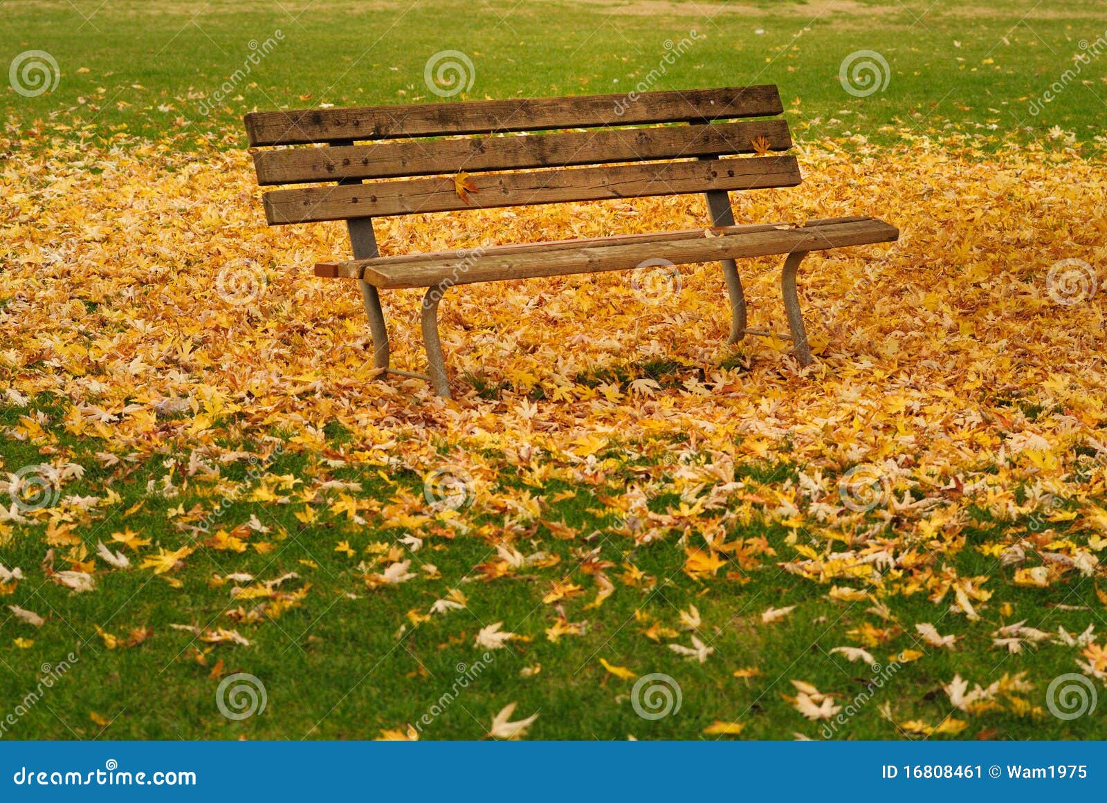 Autumn leaves and bench stock image. Image of autumn - 16808461