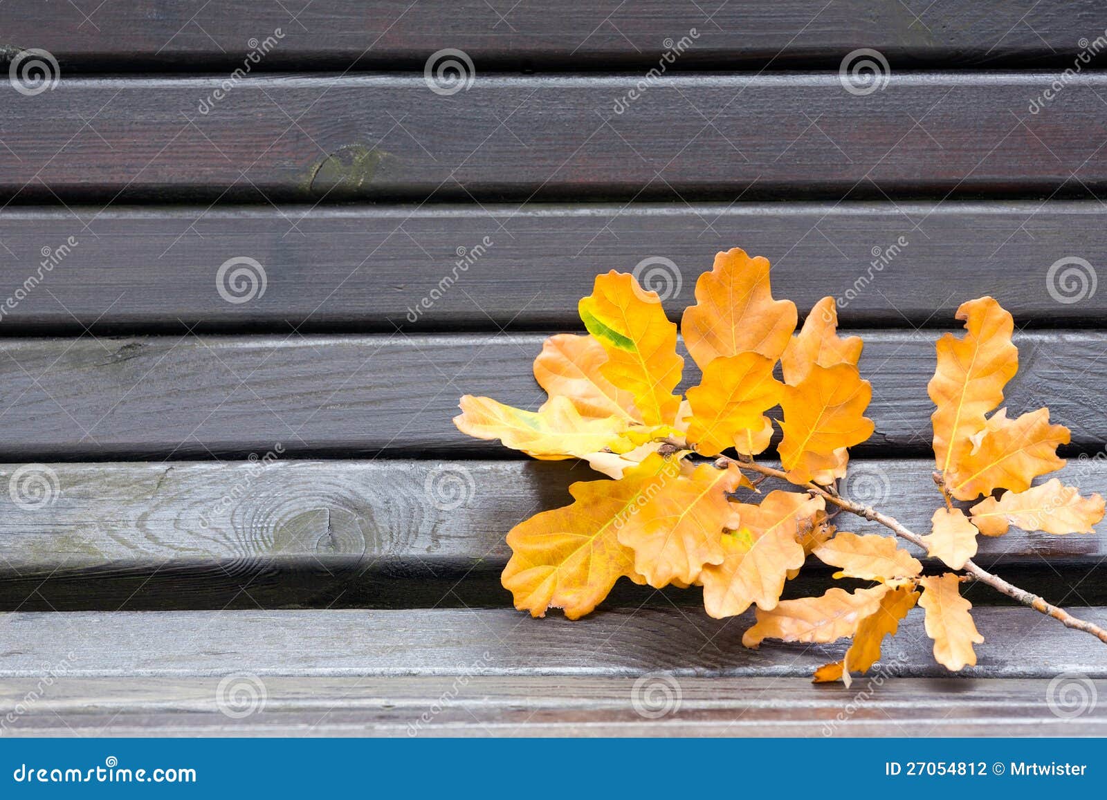 Autumn leaves and bench stock photo. Image of brown, color - 27054812