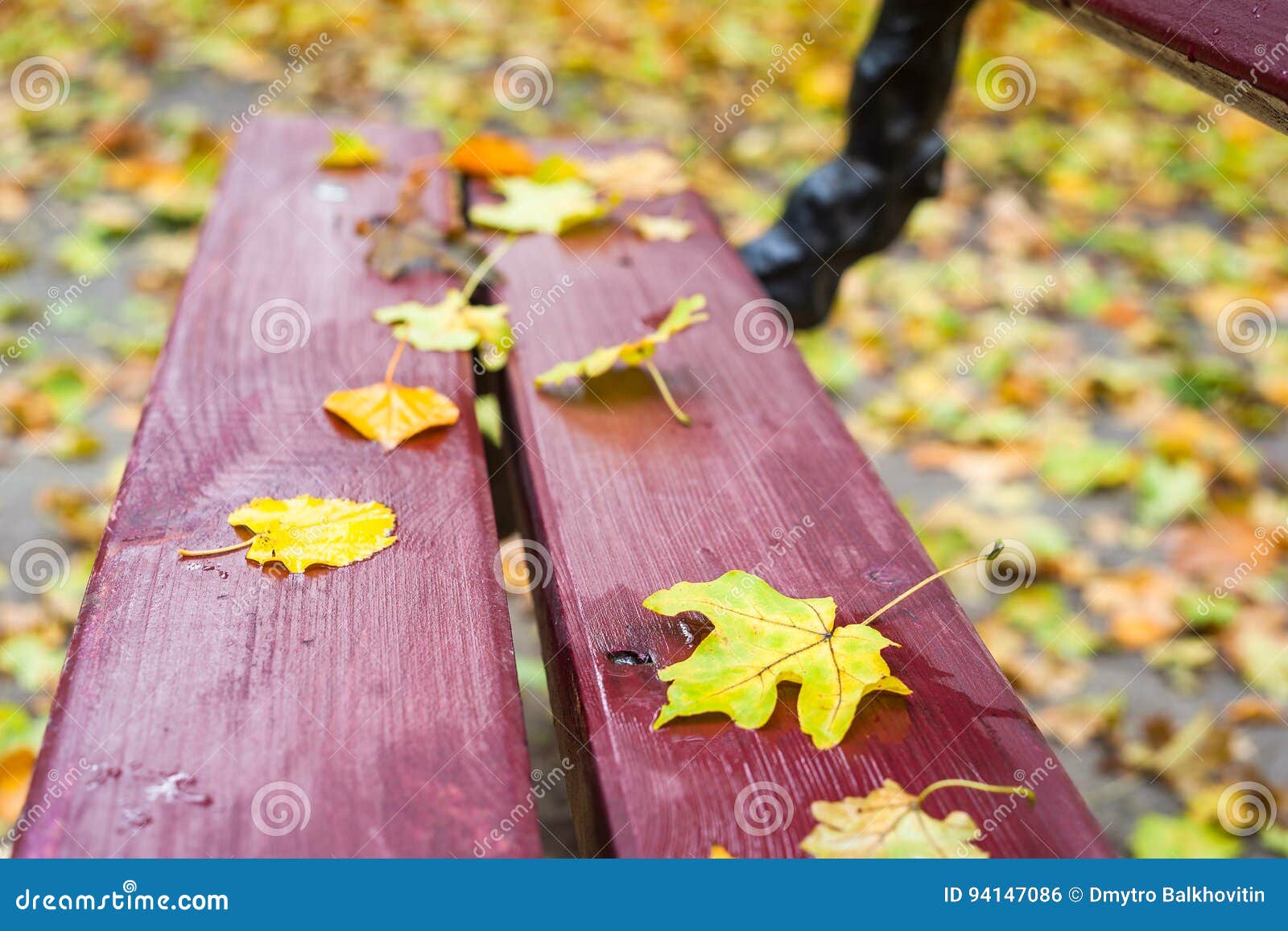 Autumn Leaves on Bench in Park Stock Photo - Image of branch, outdoor ...