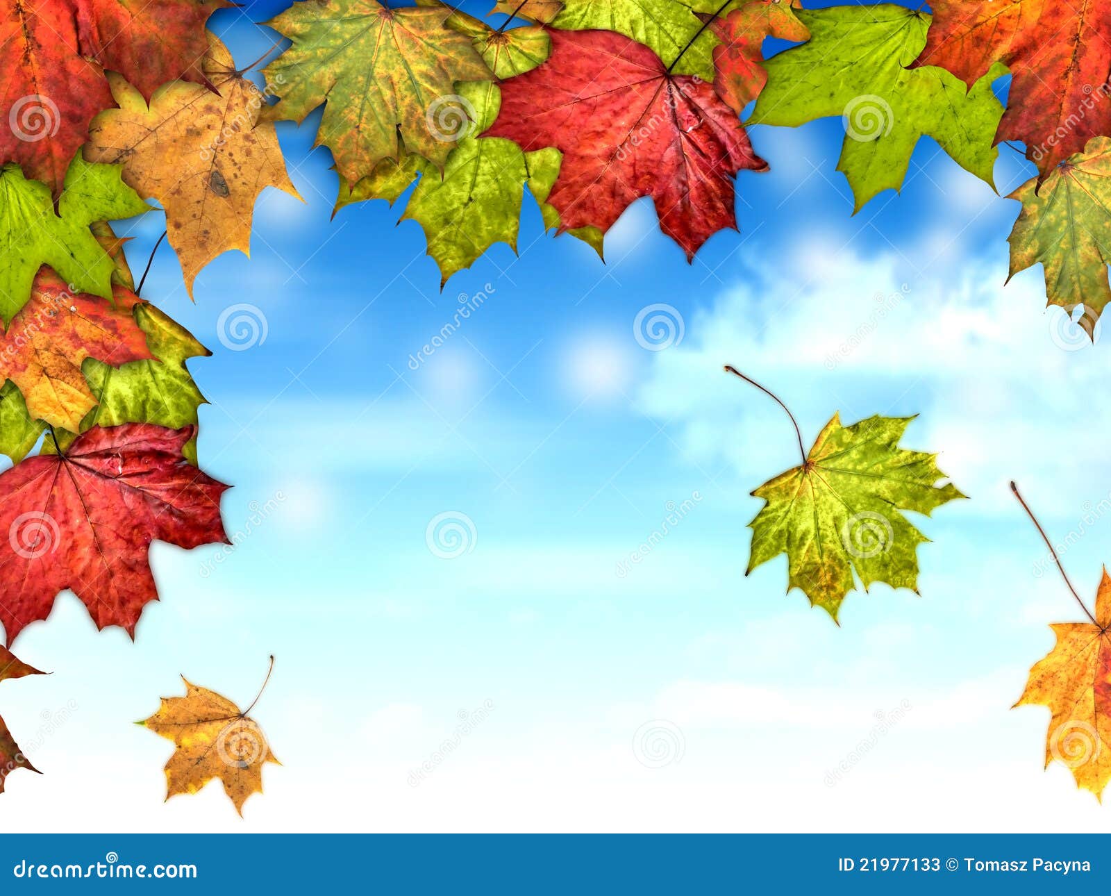 Autumn Leaves with the Blue Sky Background Stock Illustration ...
