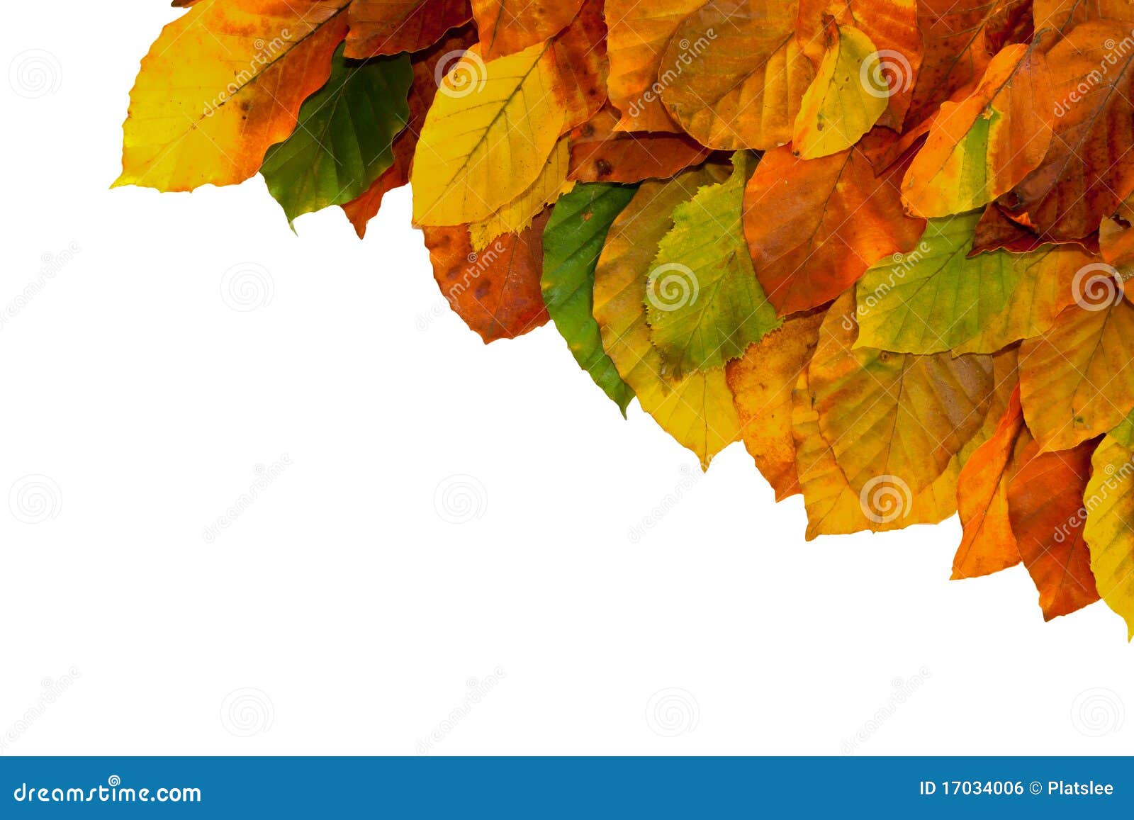 Autumn Leaves Border stock photo. Image of border, seasonal - 17034006