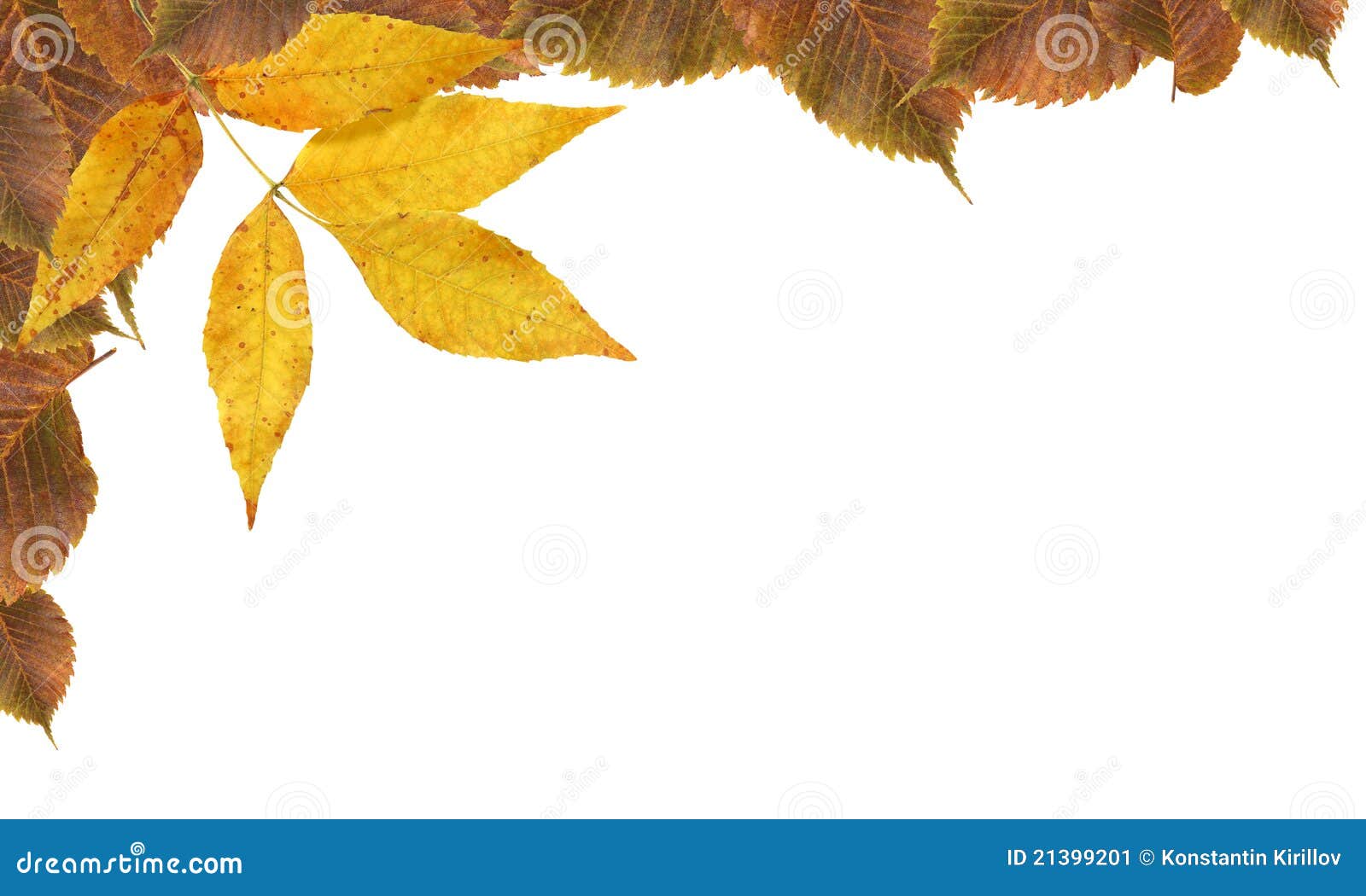 Autumn Leaves Border stock image. Image of leaf, nature - 21399201