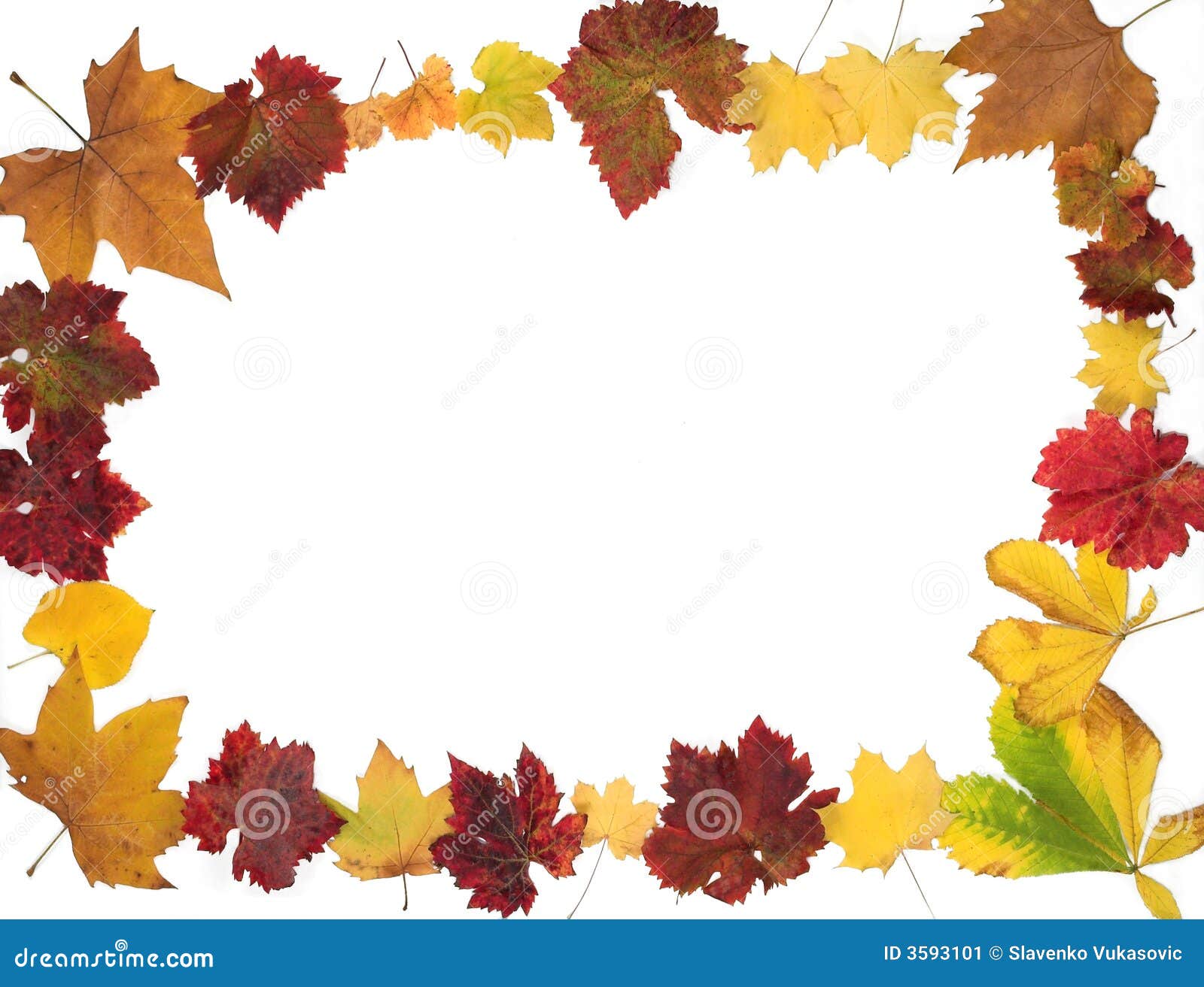 Autumn Leaves Border Design Stock Illustration - Illustration of colors ...