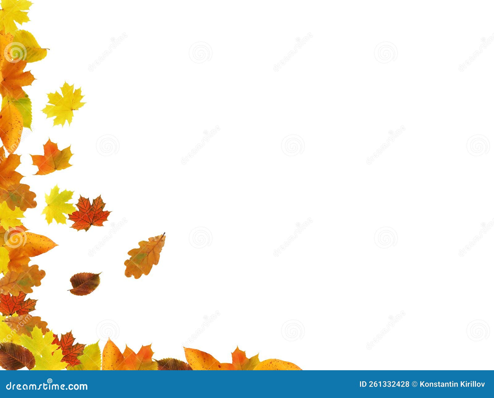 Autumn Leaves Border stock photo. Image of nice, frame - 261332428