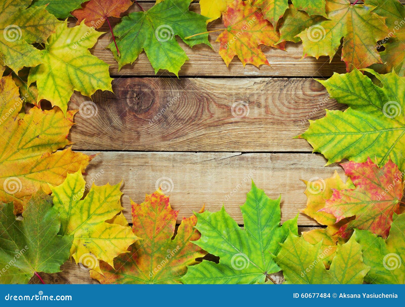 Autumn Leaves Border on Rustic Background Stock Photo - Image of ...