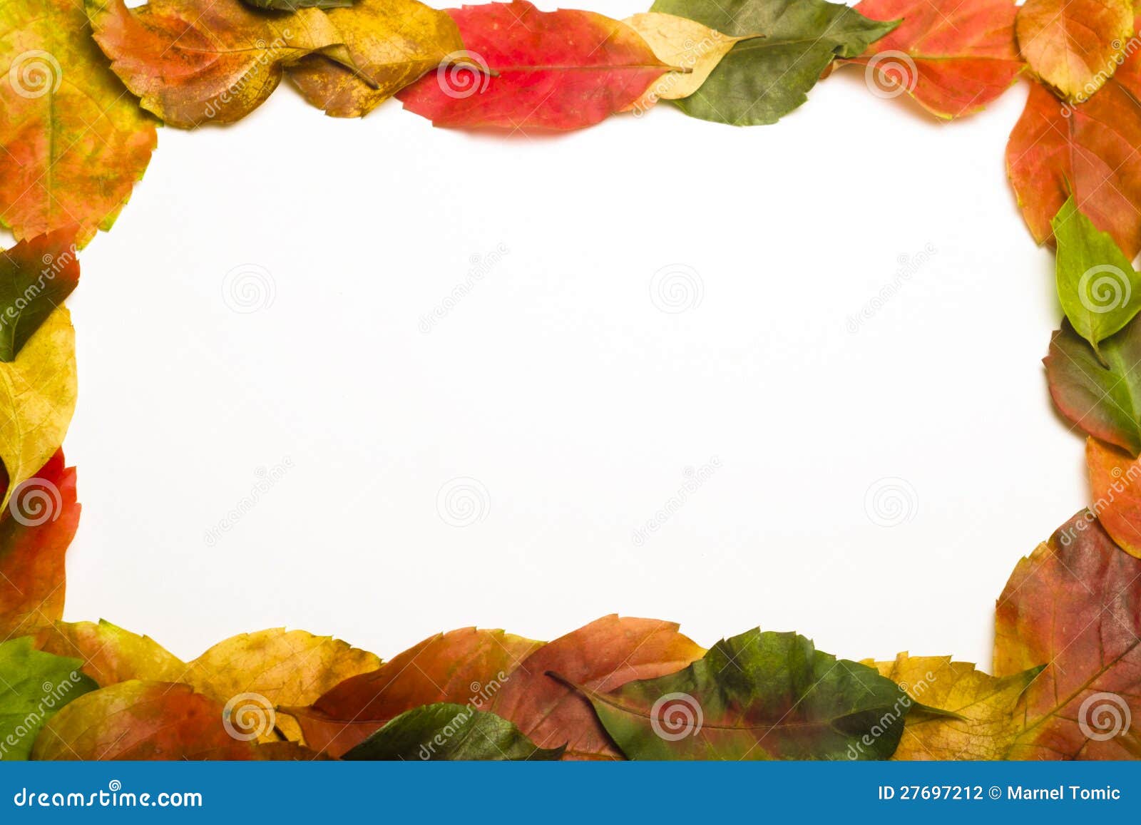 Autumn Leaves Border on White Stock Photo - Image of concept, macro ...