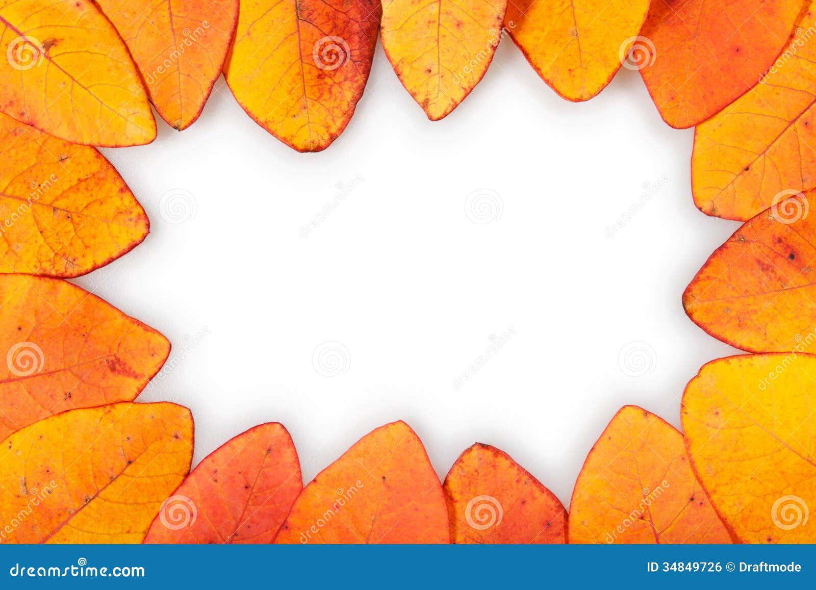 Autumn leaves border stock photo. Image of studio, border - 34849726