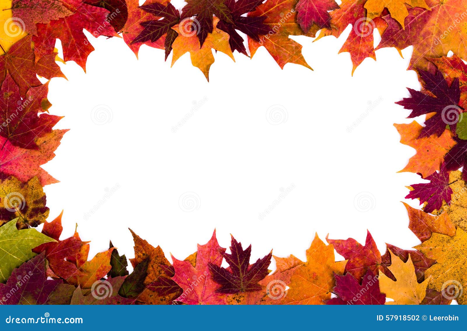 Autumn Leaves Border on White Background Stock Photo - Image of natural ...