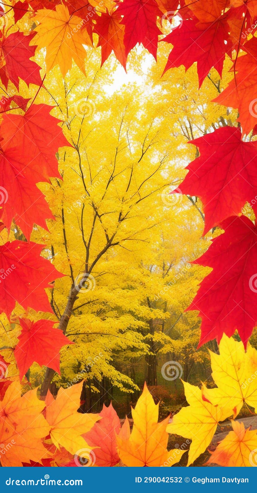 Autumn Leaves Border, Autumn Leaves Frame, Autumnn Leaves Background ...
