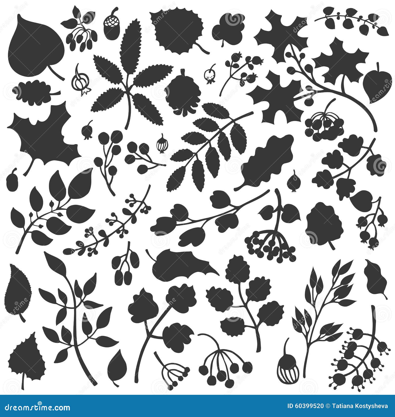Autumn Leaves,branches,berries Set.Fall Silhouette Stock Vector ...