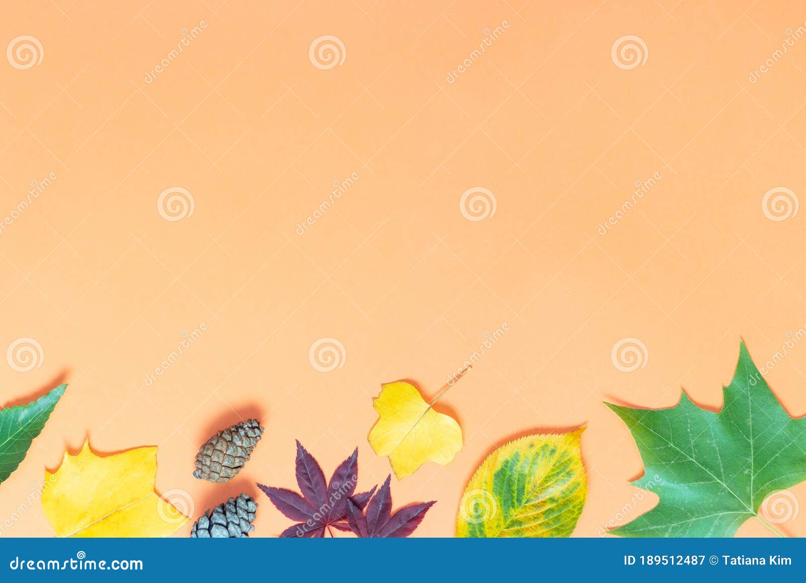 Autumn Leaves and Bump on Orange Background, Copy of the Space Stock ...