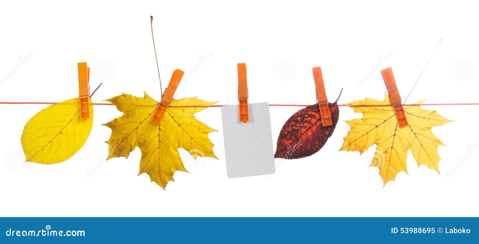 Autumn Leaves and Card on a Rope Stock Image - Image of card, flora ...