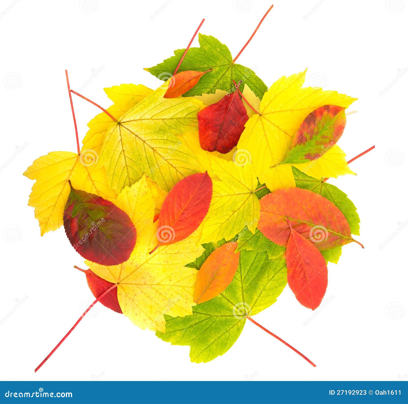 Autumn leaves in circle stock image. Image of concept - 27192923