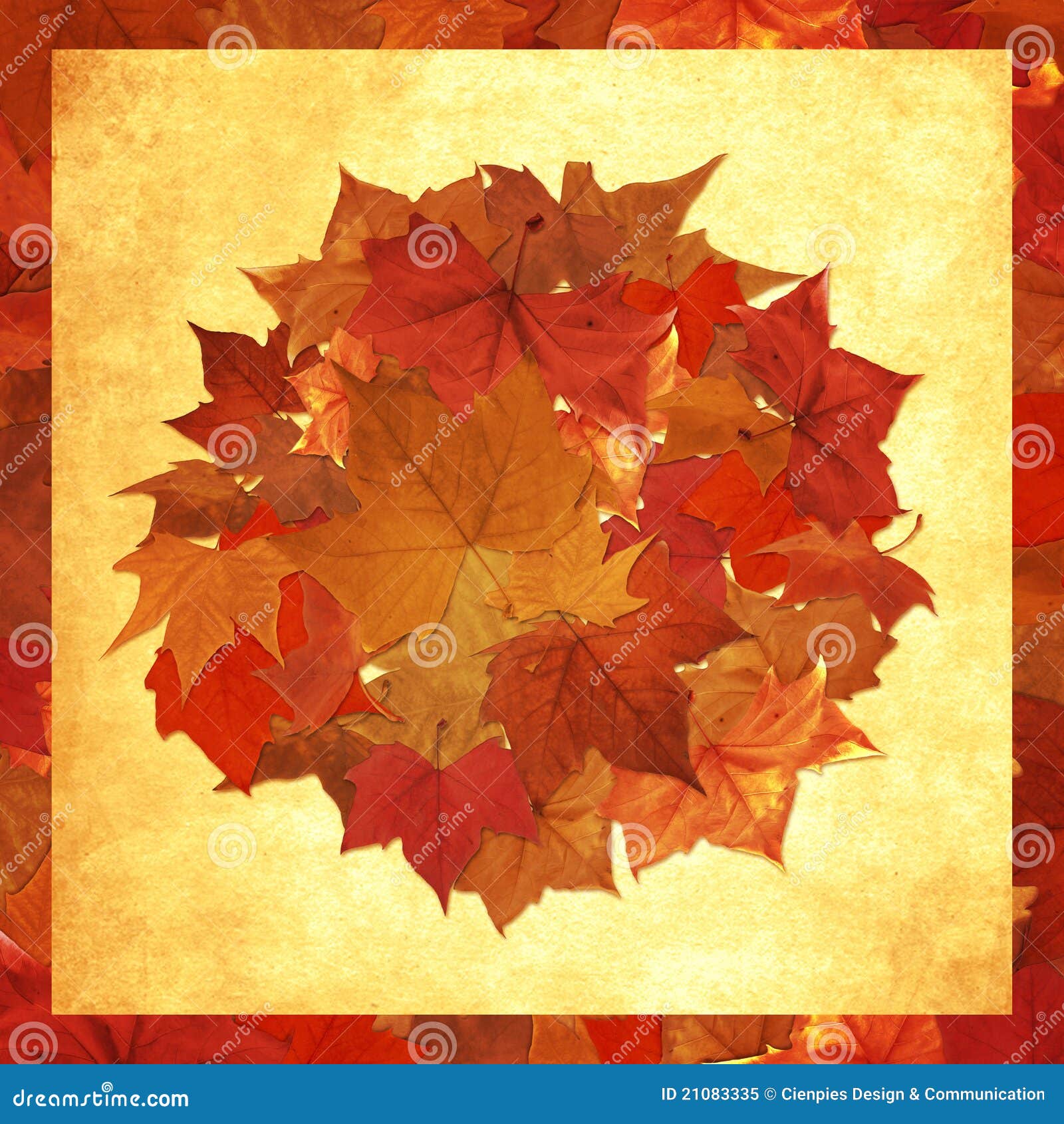 Autumn Leaves Circle Background Stock Image - Image of abstract ...