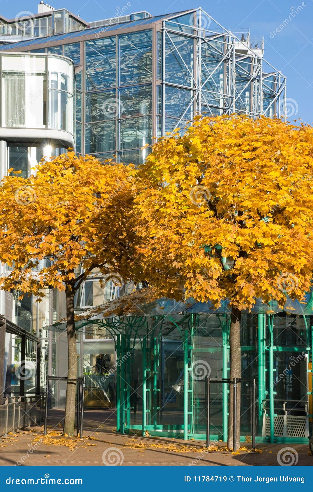 Autumn leaves in the city stock image. Image of modern - 11784719