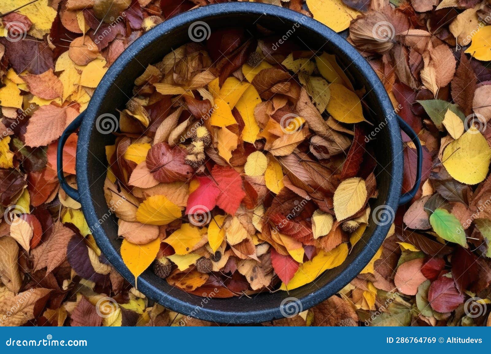 Autumn Leaves Collected in a Compost Bin Stock Image - Image of ...