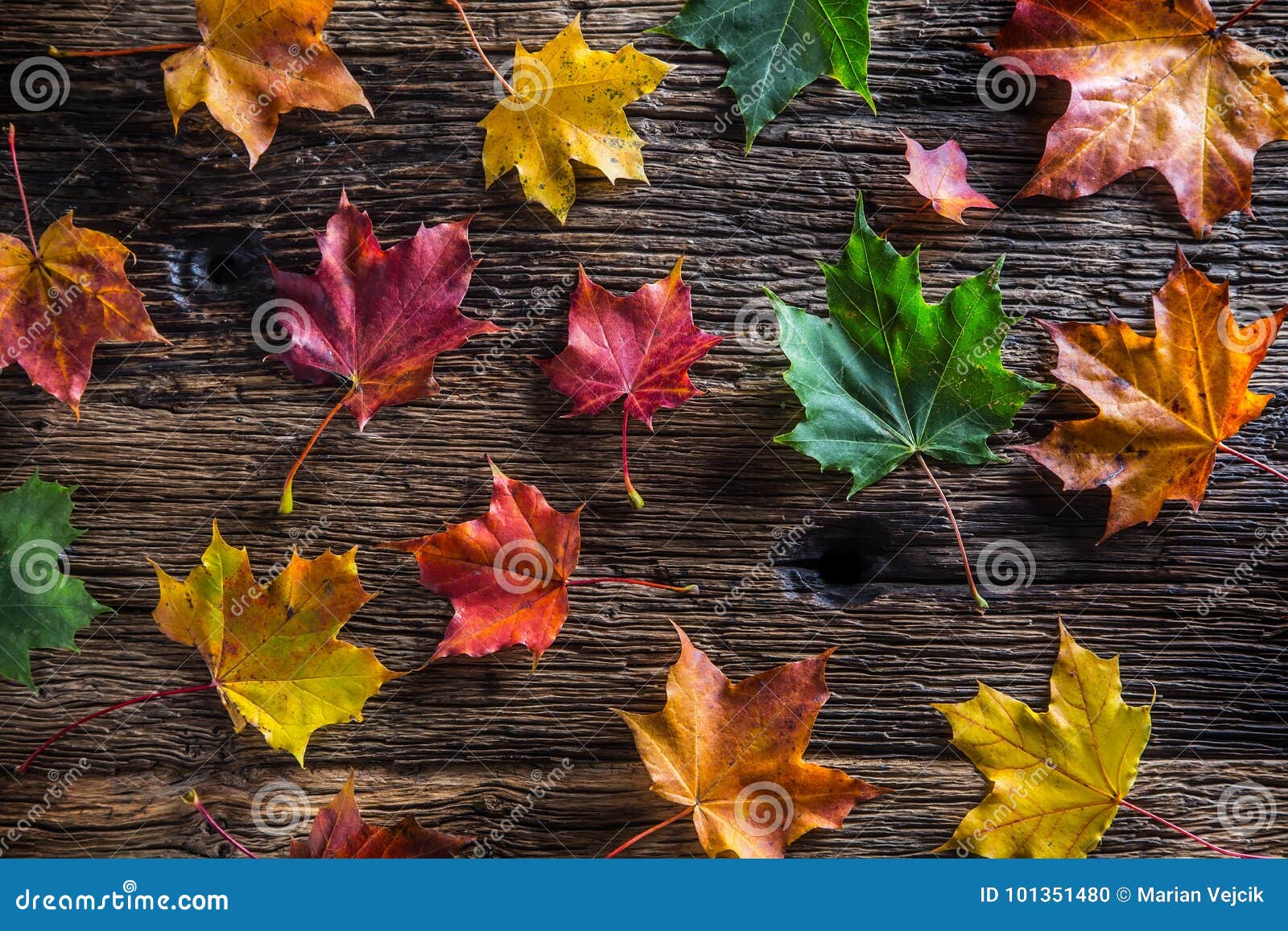 Autumn Leaves. Autumn Colorful Leaves on Rustic Wooden Table Stock ...