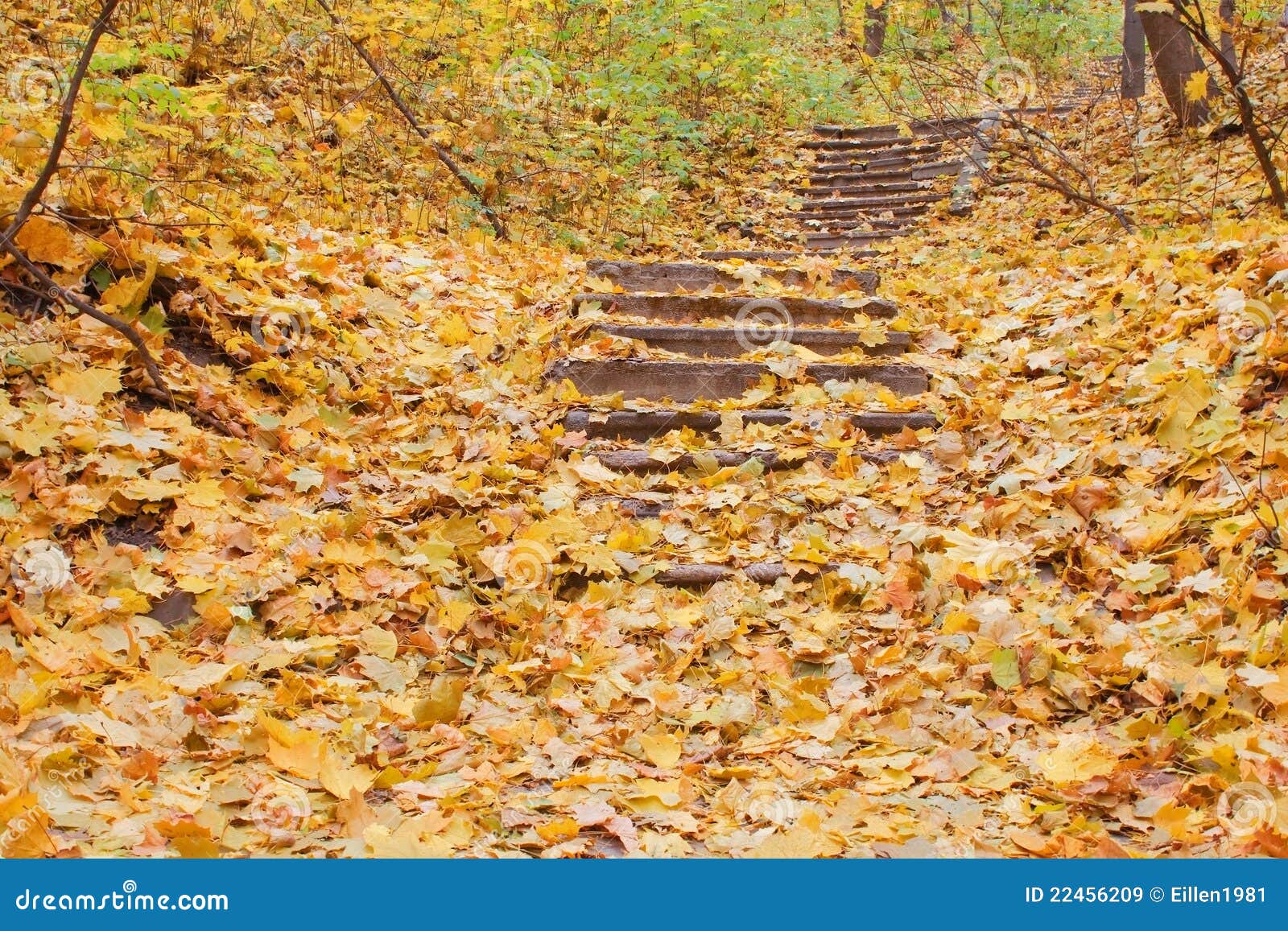 Autumn Leaves on Concrete Steps Stairs Stock Image - Image of country ...