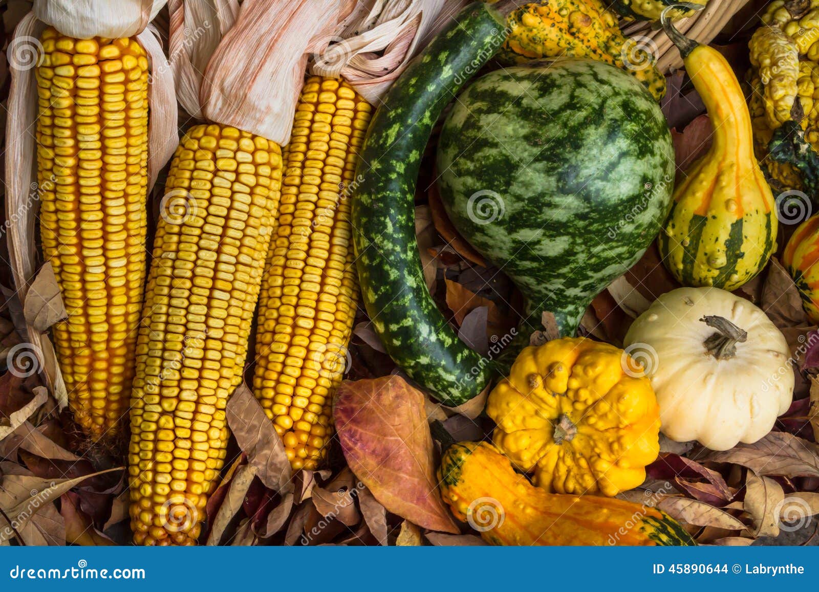 Autumn Leaves, Corn and Gourds Stock Photo - Image of seasonal, october ...
