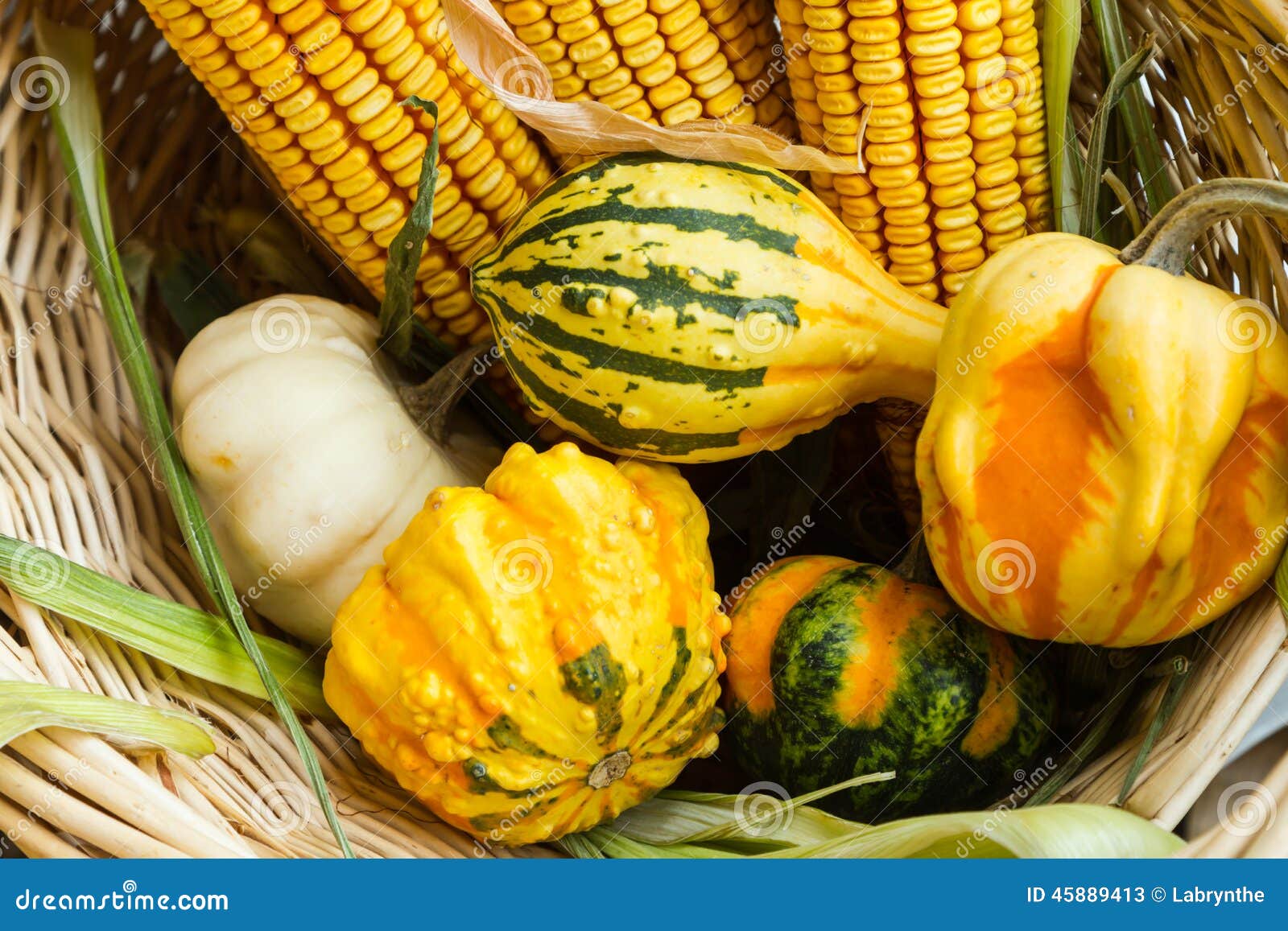 Autumn Leaves, Corn and Gourds Stock Image - Image of fall, autumn ...