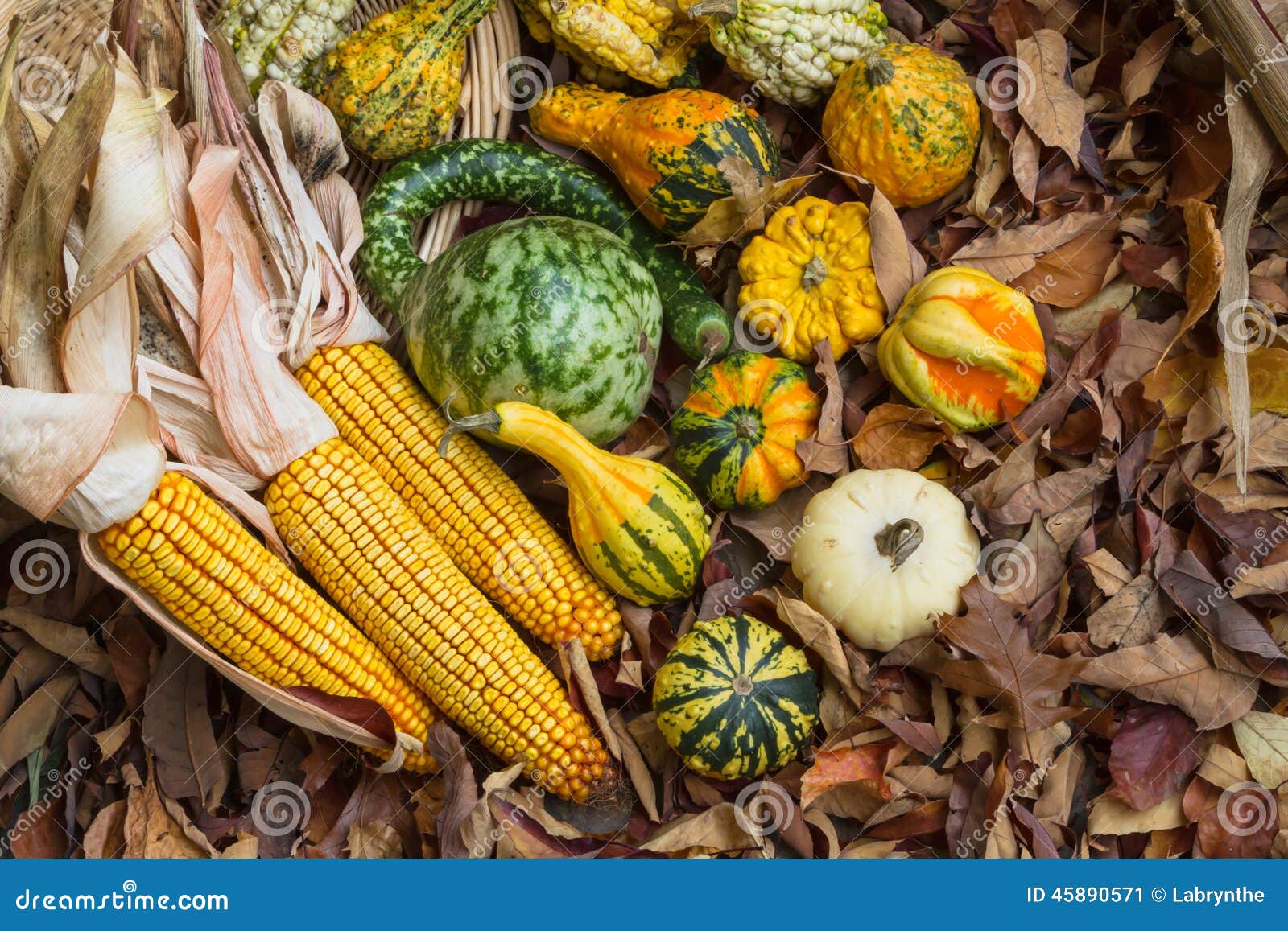 Autumn Leaves, Corn and Gourds Stock Image - Image of dried, farm: 45890571