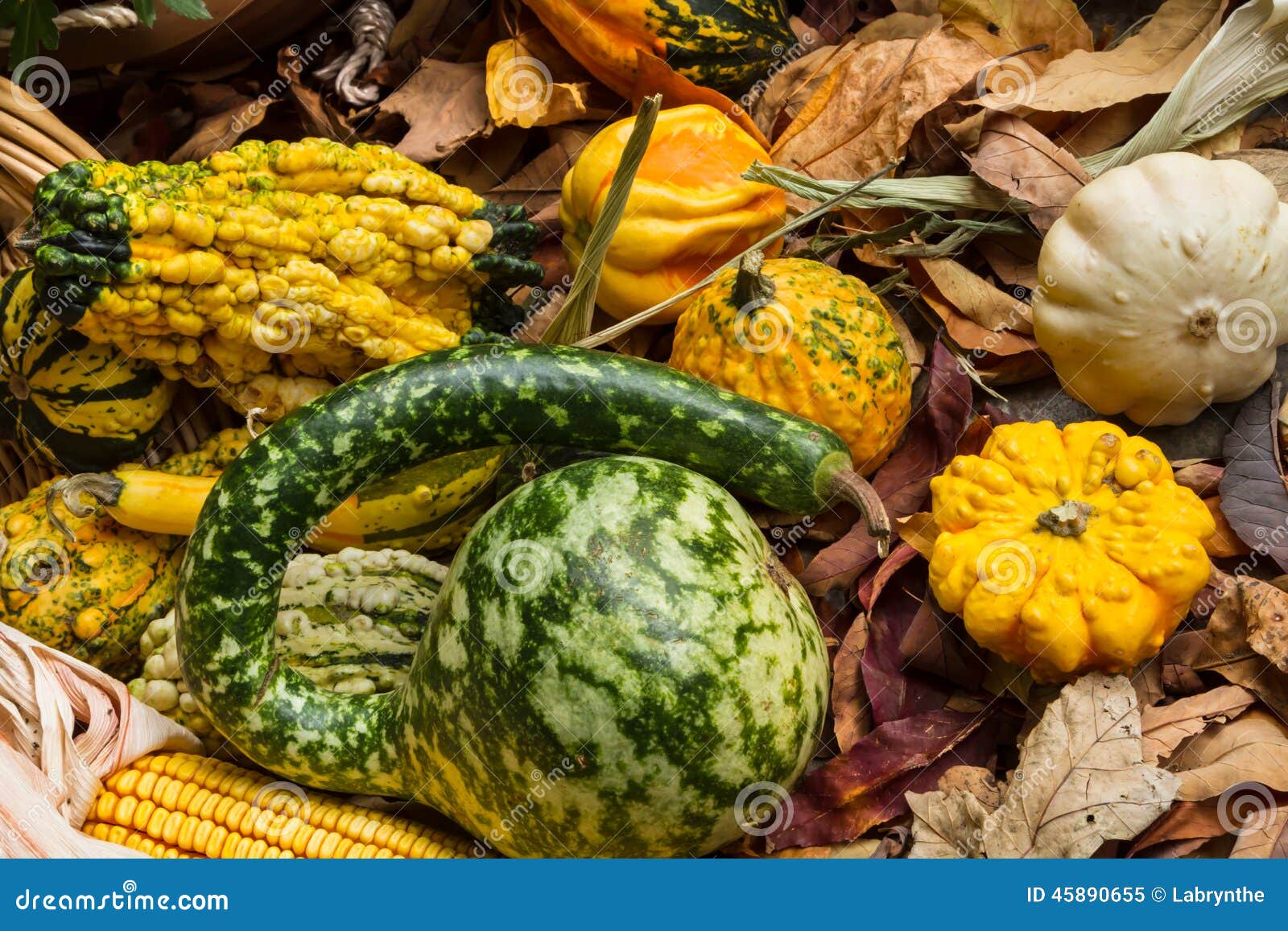 Autumn Leaves, Corn and Gourds Stock Image - Image of yellows, brown ...