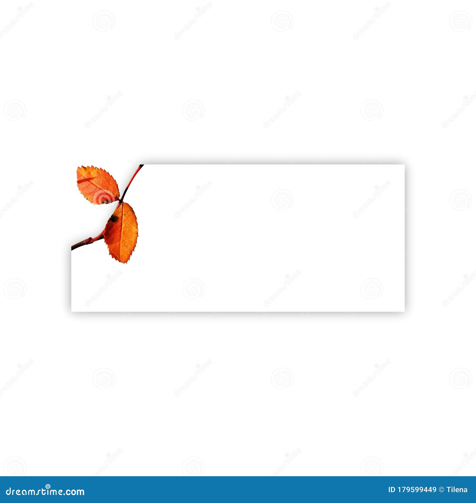 Autumn Leaves at the Corner of a Rectangular Shape Stock Image - Image ...