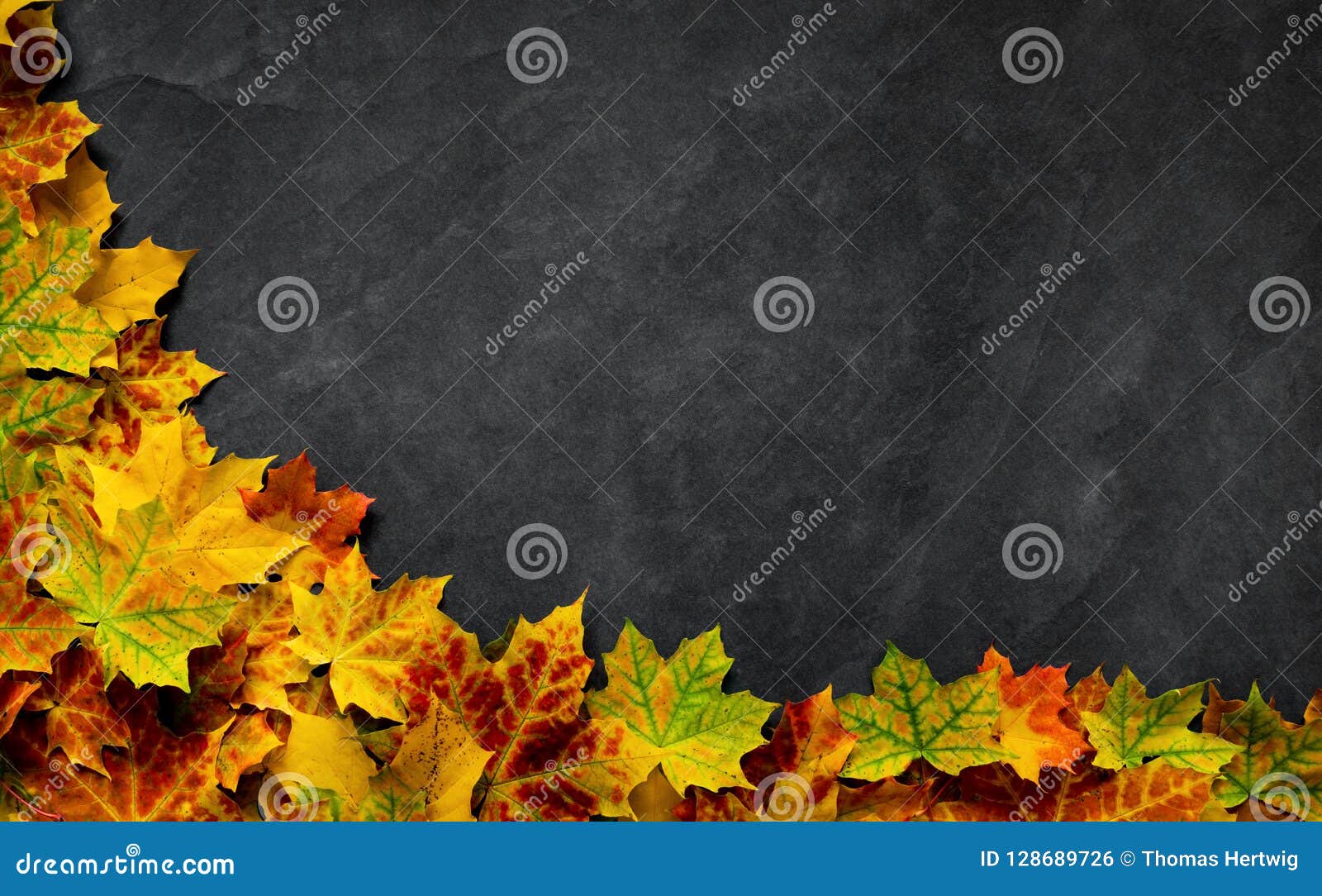 Autumn Leaves on Dark Slate Background Stock Photo - Image of board ...