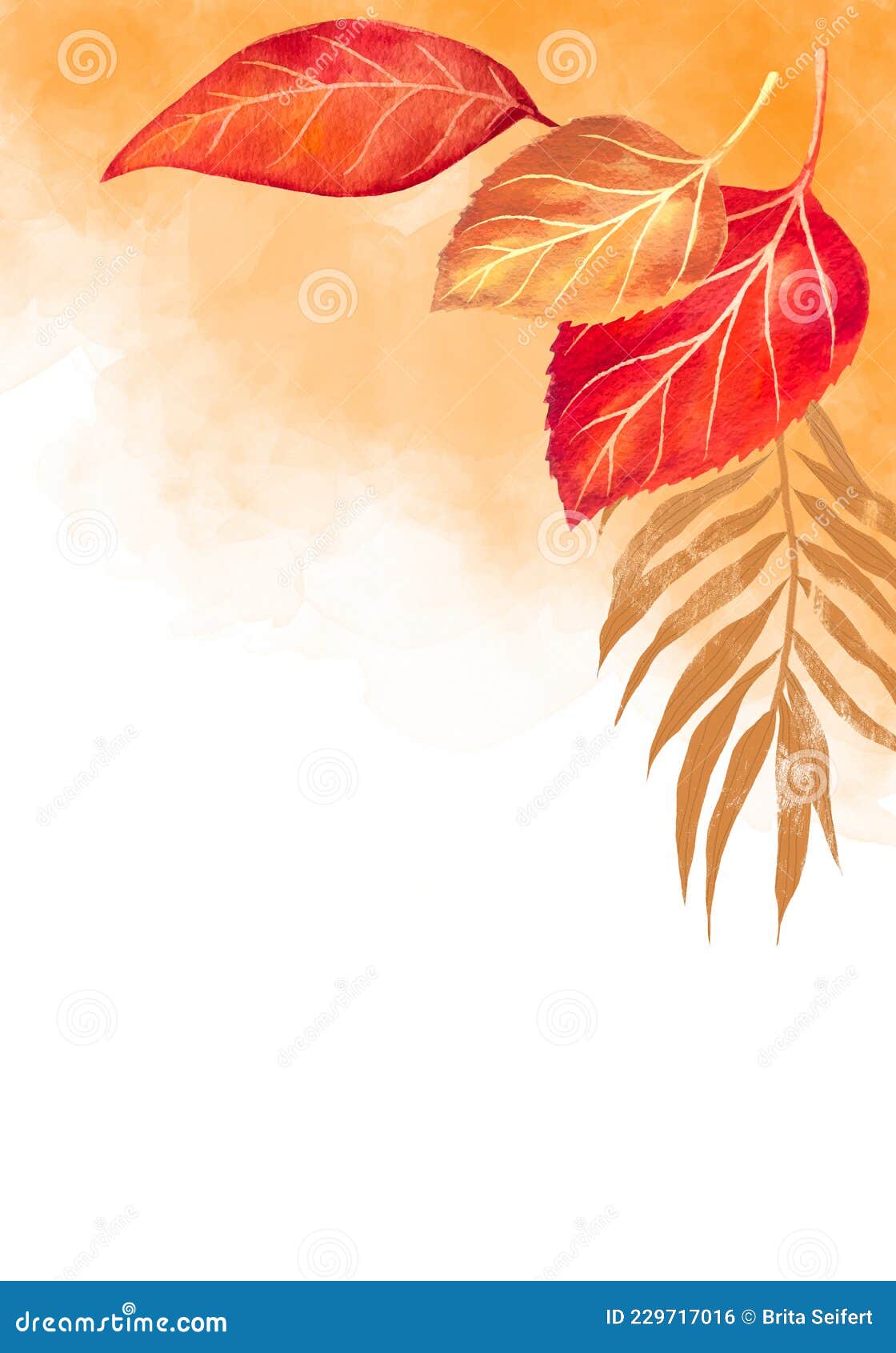 Autumn Leaves Decoration Background, September Botanical Header or ...